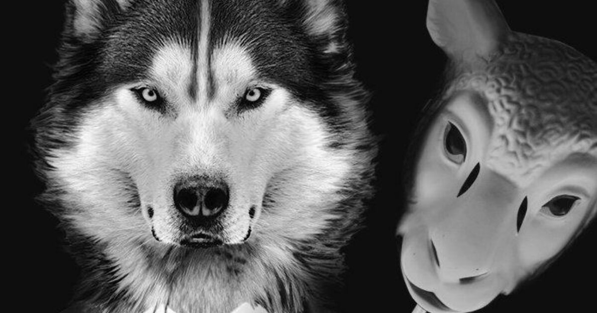 How to Keep Your Organization Safe From Social… | Bishop Fox